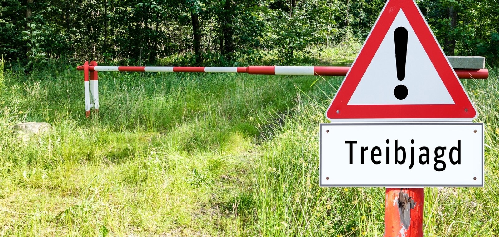 Drückjagd am 10. Januar 2026: Traumschleife Rheingold meiden ...